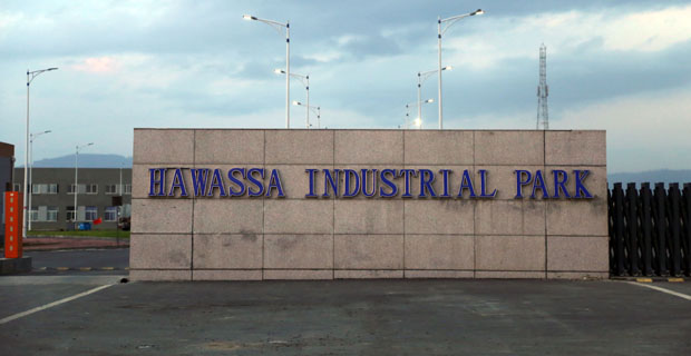 Lion, Awash Vie to Join Hawassa Industrial Park